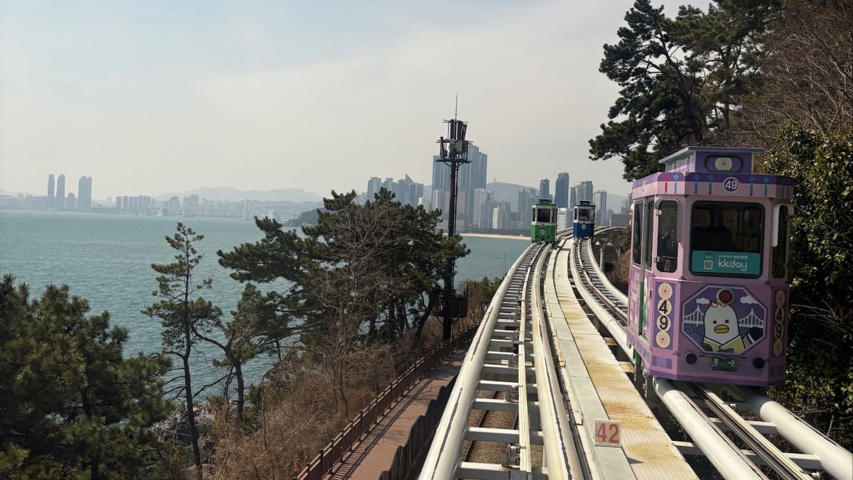 Busan Sky Capsule: Everything You Need to Know